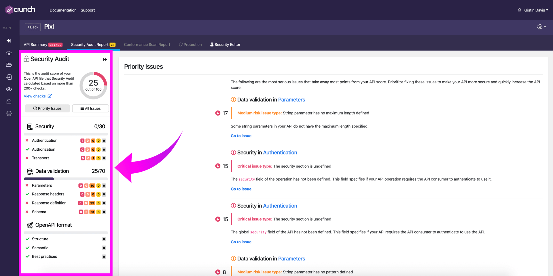 Navigating the API Security Audit Report