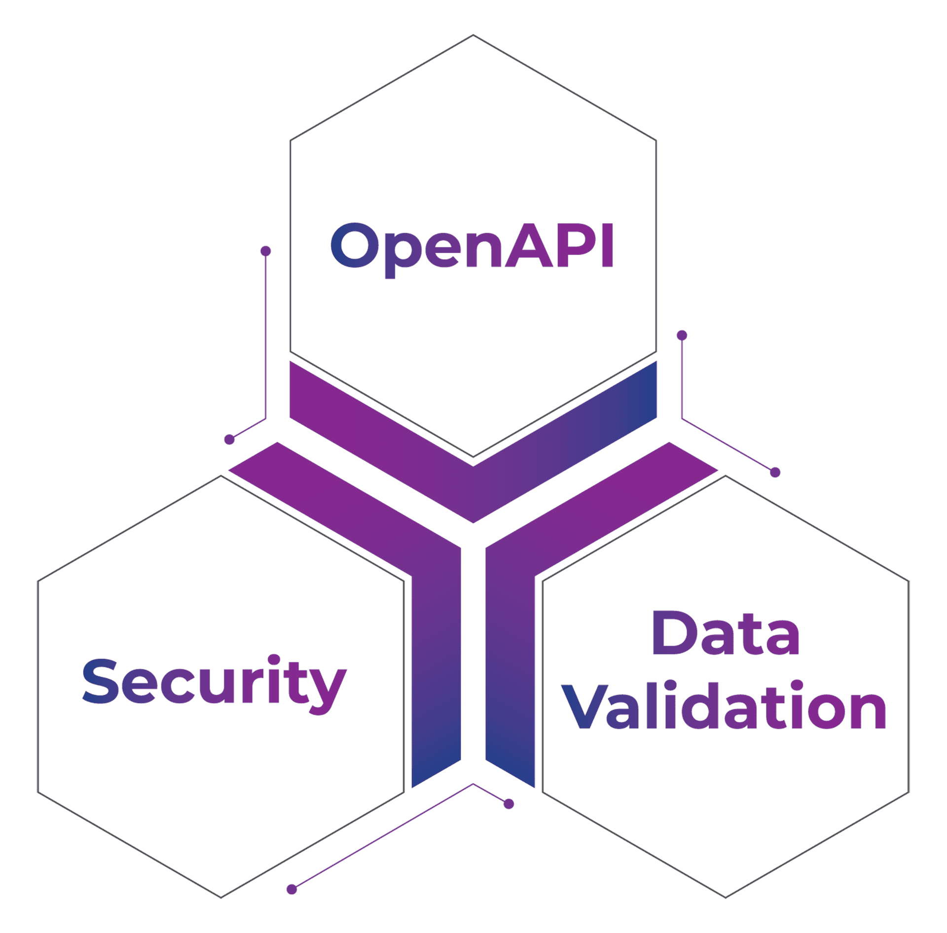 API Audit | OpenAPI contract Security Audit & Linter